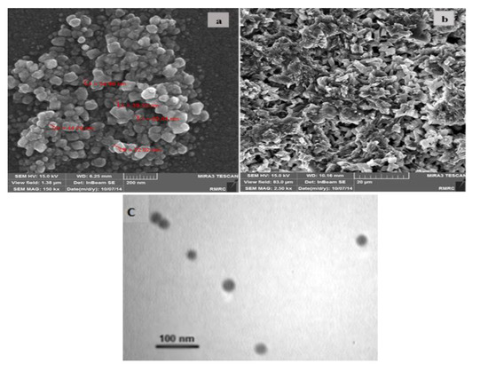 Simultaneous Determination of Streptomycin and Oxytetracycline Using a ...
