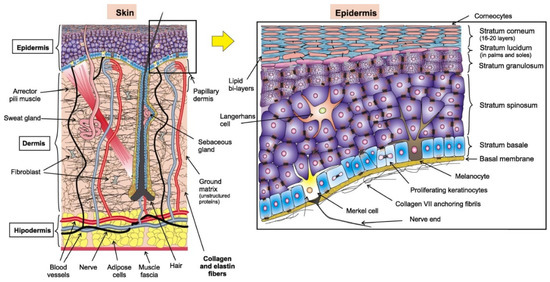 Wearable Skin Sensors and Their Challenges: A Review of Transdermal ...