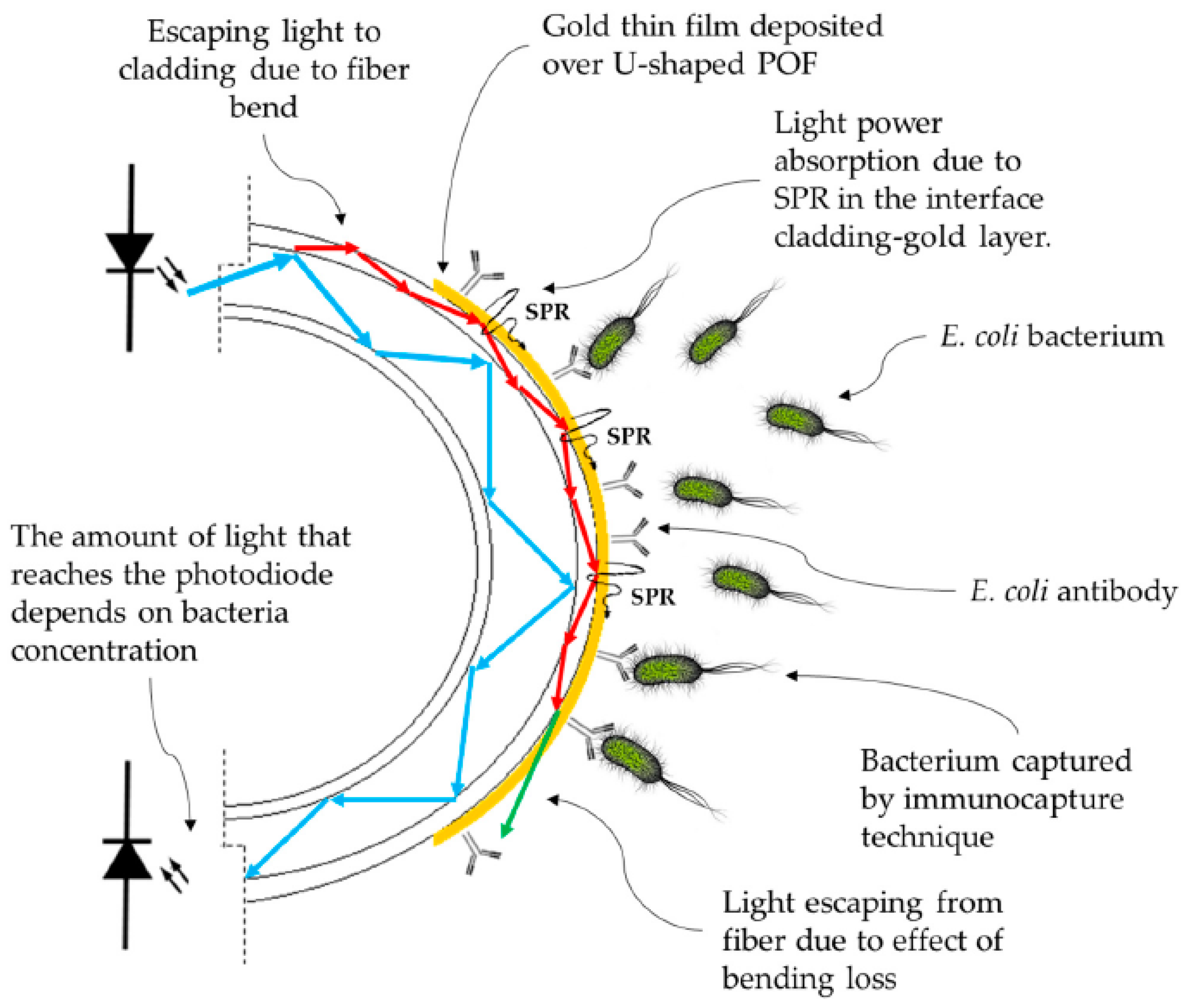 Overview of Recent Advances in the Design of Plasmonic Fiber-Optic ...