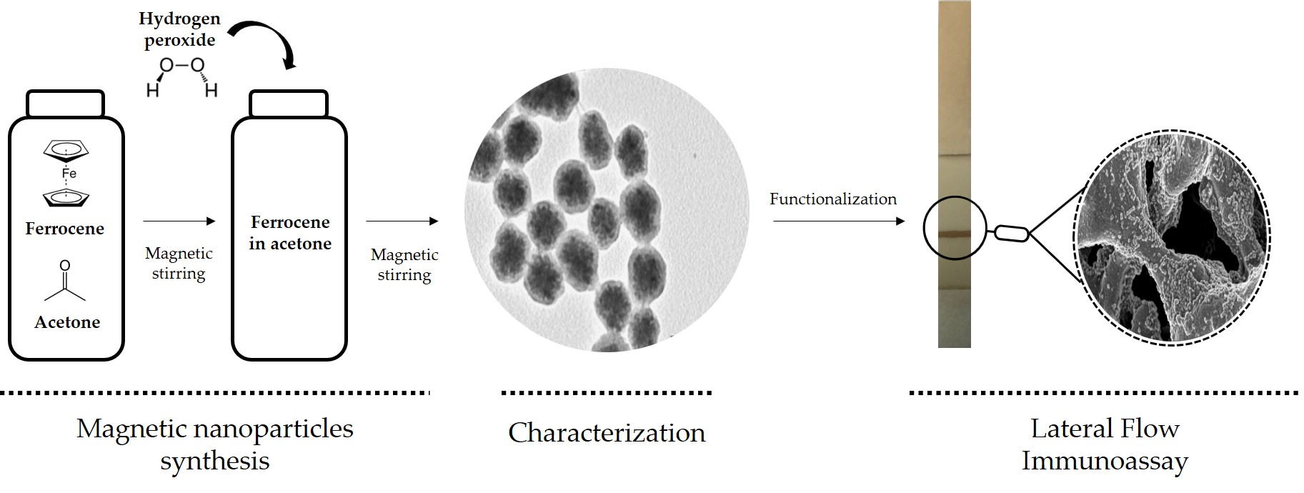 Biosensors | Free Full-Text | Carbon-Coated Superparamagnetic Nanoflowers for Biosensors Based ...