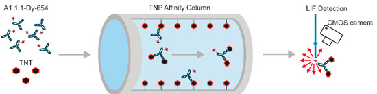 Biosensors | Free Full-Text | Fast Detection of 2,4,6-Trinitrotoluene ...