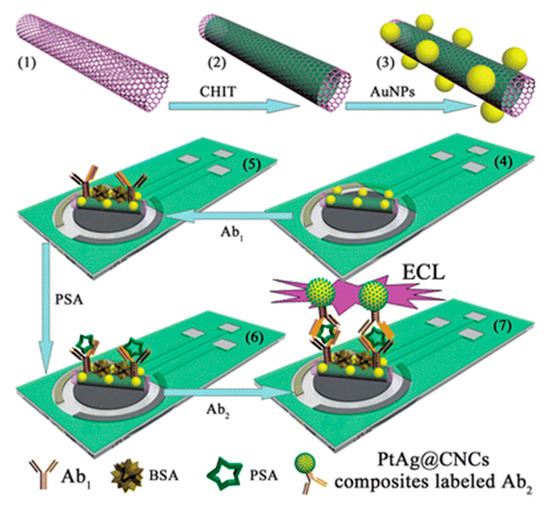 Electrochemiluminescence Biosensors Using Screen-Printed Electrodes