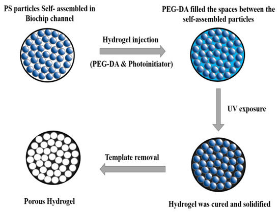 Colorimetric Diagnostic Capillary Enabled by Size Sieving in a Porous ...