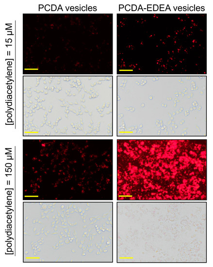 Tuning the Surface Charge of Self-Assembled Polydiacetylene Vesicles to ...