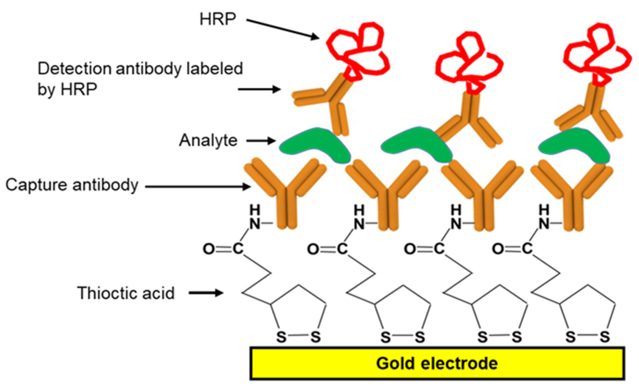 Integrated Experimental and Theoretical Studies on an Electrochemical ...