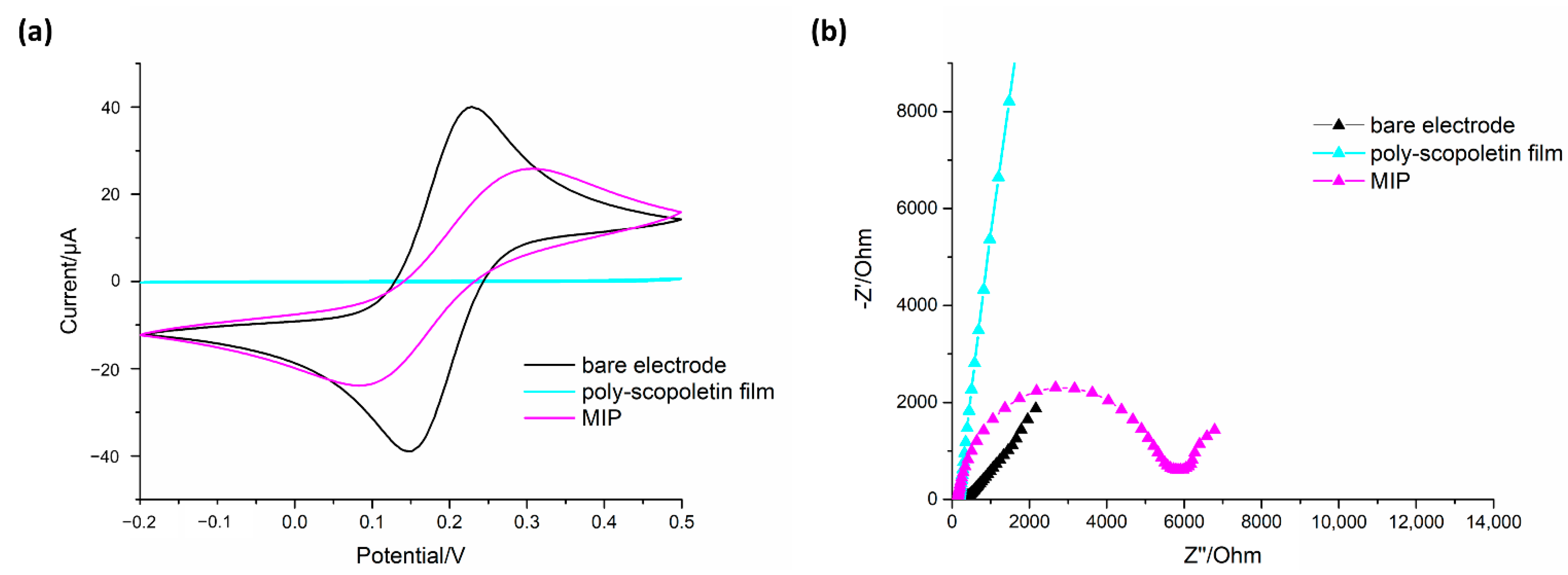 Biosensors | Free Full-Text | Molecularly Imprinted Polyscopoletin for ...