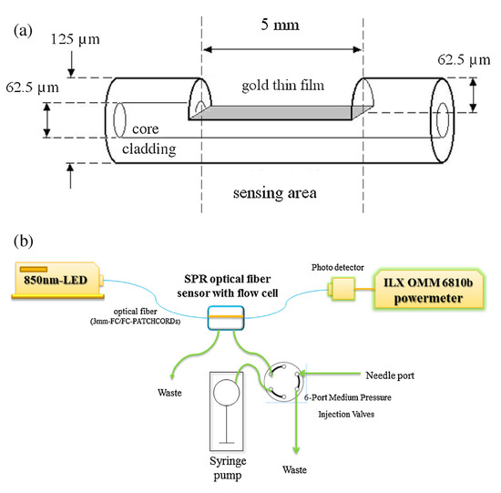 Survey of Saliva Components and Virus Sensors for Prevention of COVID ...
