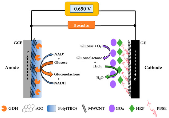 Biosensors | Free Full-Text | Development of a Sensitive Self-Powered ...