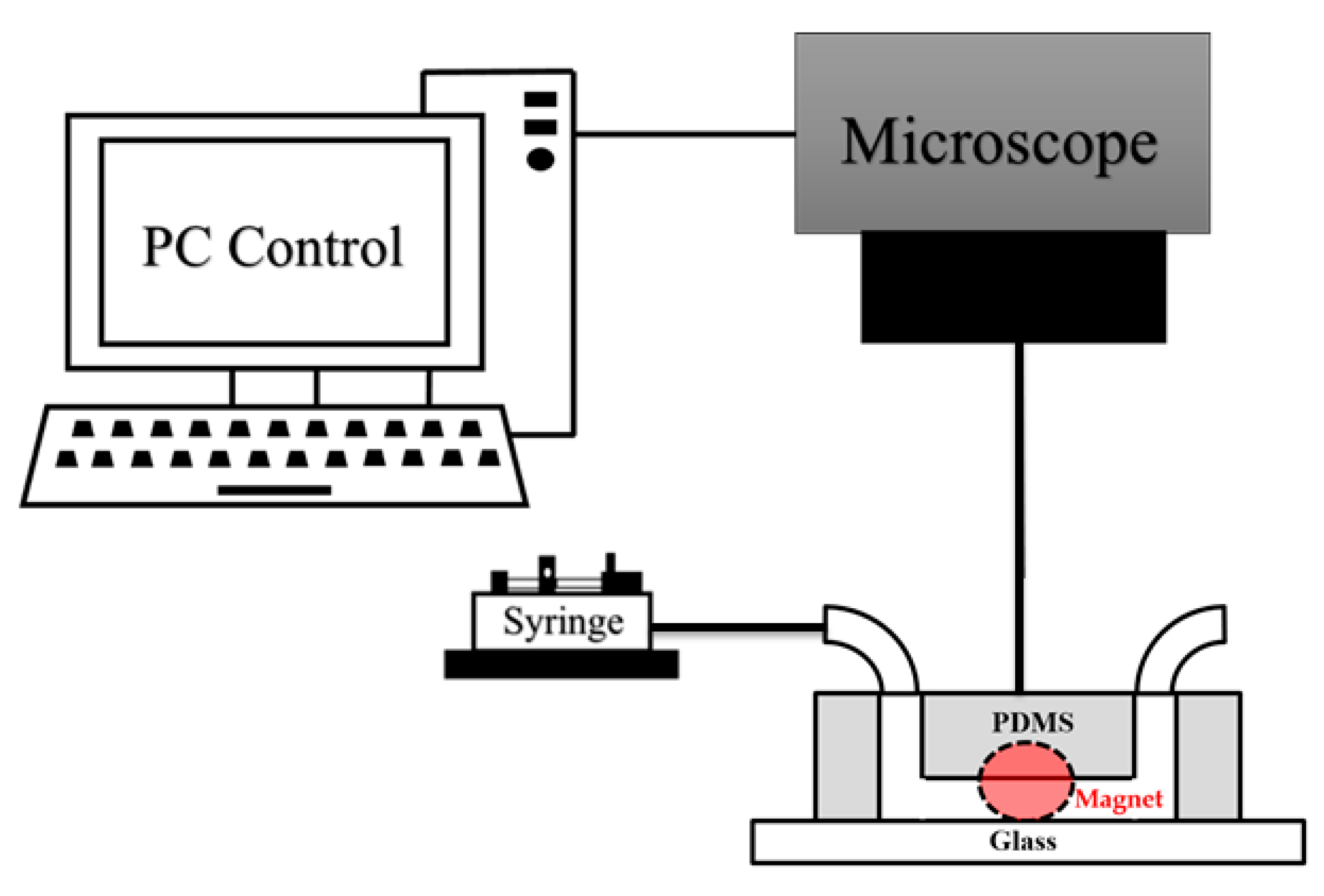 Effective Isolation for Lung Carcinoma Cells Based on Immunomagnetic ...