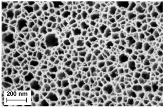 Porous Silicon Biosensor for the Detection of Bacteria through Their Lysate