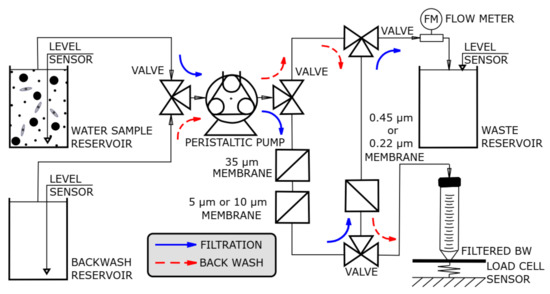 Biosensors | Special Issue : Micro/Nano Biosensors—Fundamentals ...