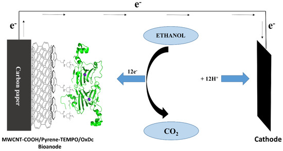 Biosensors | Special Issue : Biofuel and Biosolar Cells as Biosensing ...