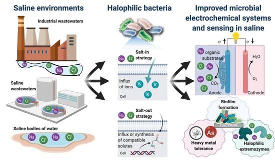 Biosensors | Free Full-Text | The Use of Electroactive Halophilic ...