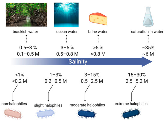 The Use of Electroactive Halophilic Bacteria for Improvements and ...