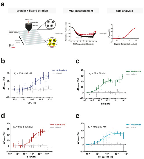 Novel Method for Quantifying AhR-Ligand Binding Affinities Using ...