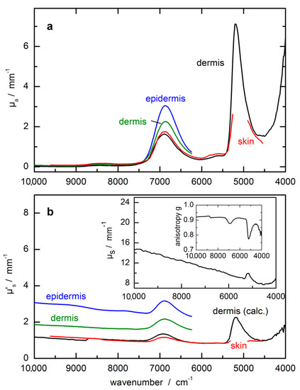 Noninvasive Monitoring of Glucose Using Near-Infrared Reflection ...