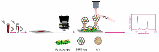 A Review on SERS-Based Detection of Human Virus Infections: Influenza ...