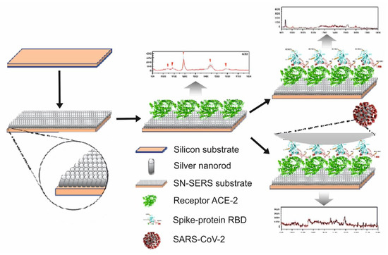 A Review on SERS-Based Detection of Human Virus Infections: Influenza ...