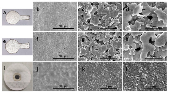 A Novel Wearable Flexible Dry Electrode Based on Cowhide for ECG ...