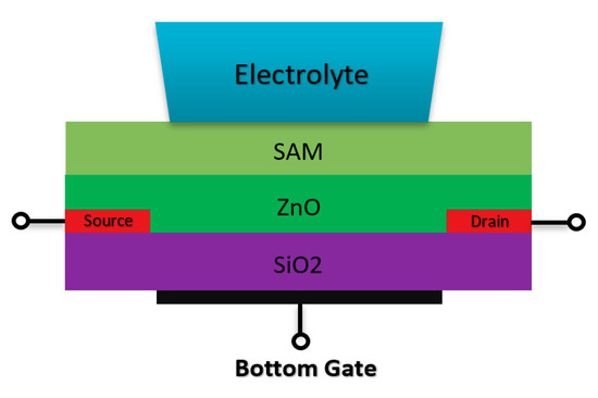Recent Advances of Field-Effect Transistor Technology for Infectious ...