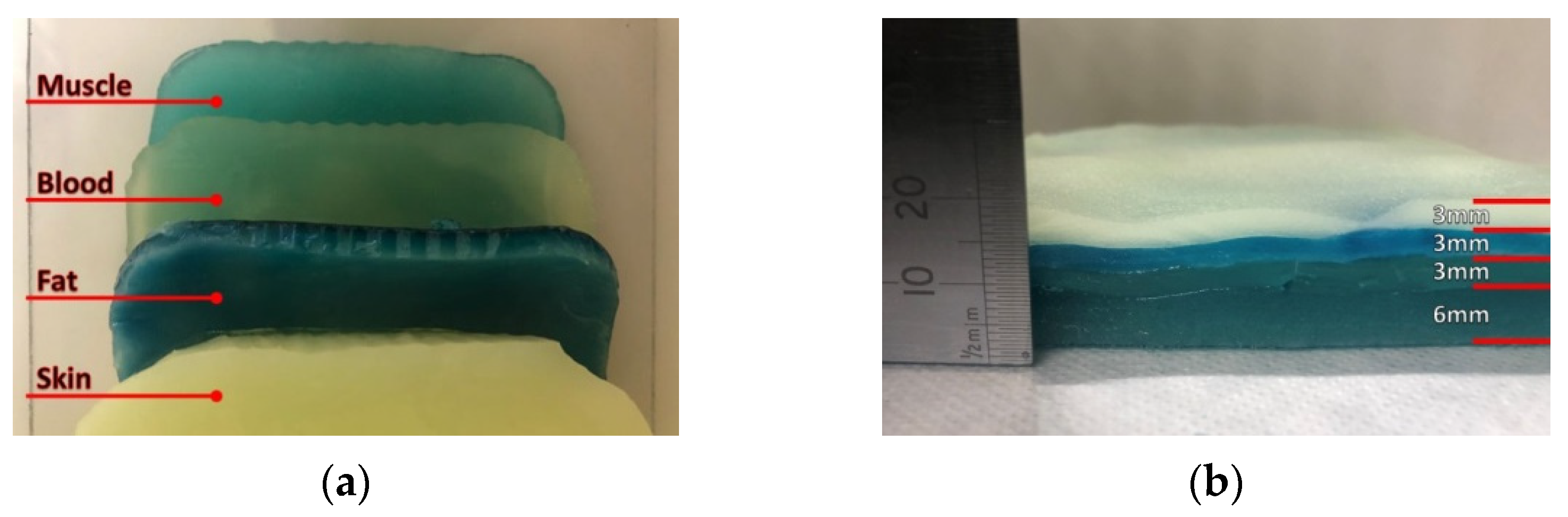 Gel-Like Human Mimicking Phantoms: Realization Procedure, Dielectric ...