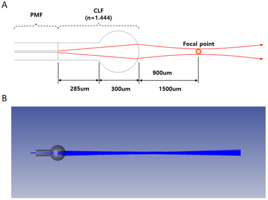 Rapid Molecular Diagnostic Sensor Based on Ball-Lensed Optical Fibers