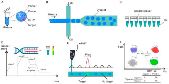 Point-of-Care PCR Assays for COVID-19 Detection