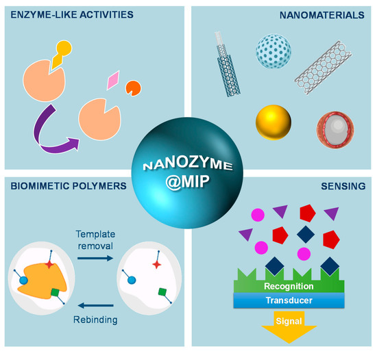 Molecular Imprinting on Nanozymes for Sensing Applications