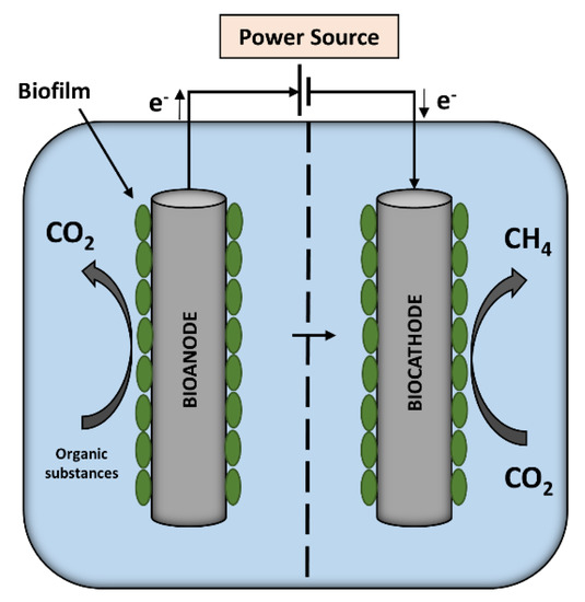Impact of Carbon Felt Electrode Pretreatment on Anodic Biofilm ...