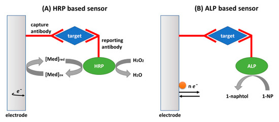 Advances in Electrochemical and Acoustic Aptamer-Based Biosensors and ...