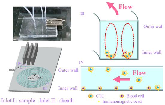 Inertial-Assisted Immunomagnetic Bioplatform towards Efficient ...