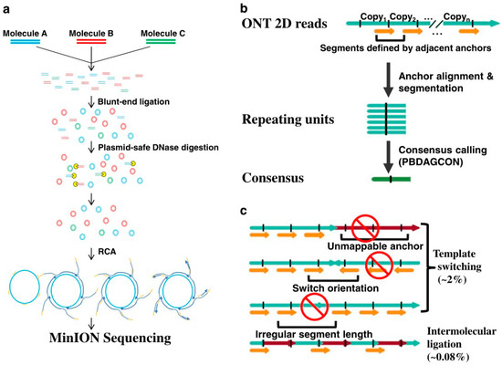 Nanopore Technology and Its Applications in Gene Sequencing