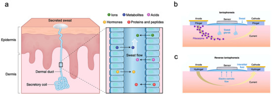 Wearable Biosensors for Non-Invasive Sweat Diagnostics