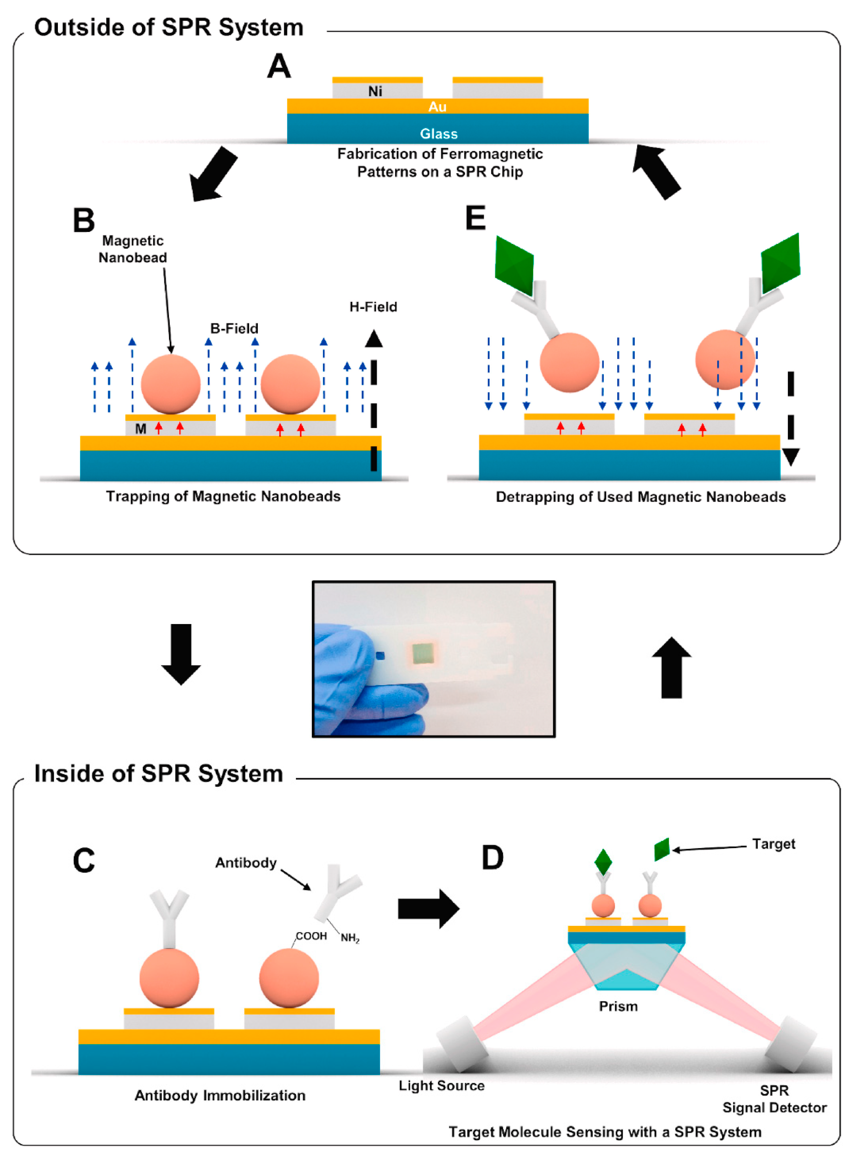 Biosensors Free Full Text Surface Plasmon Resonance Spr And