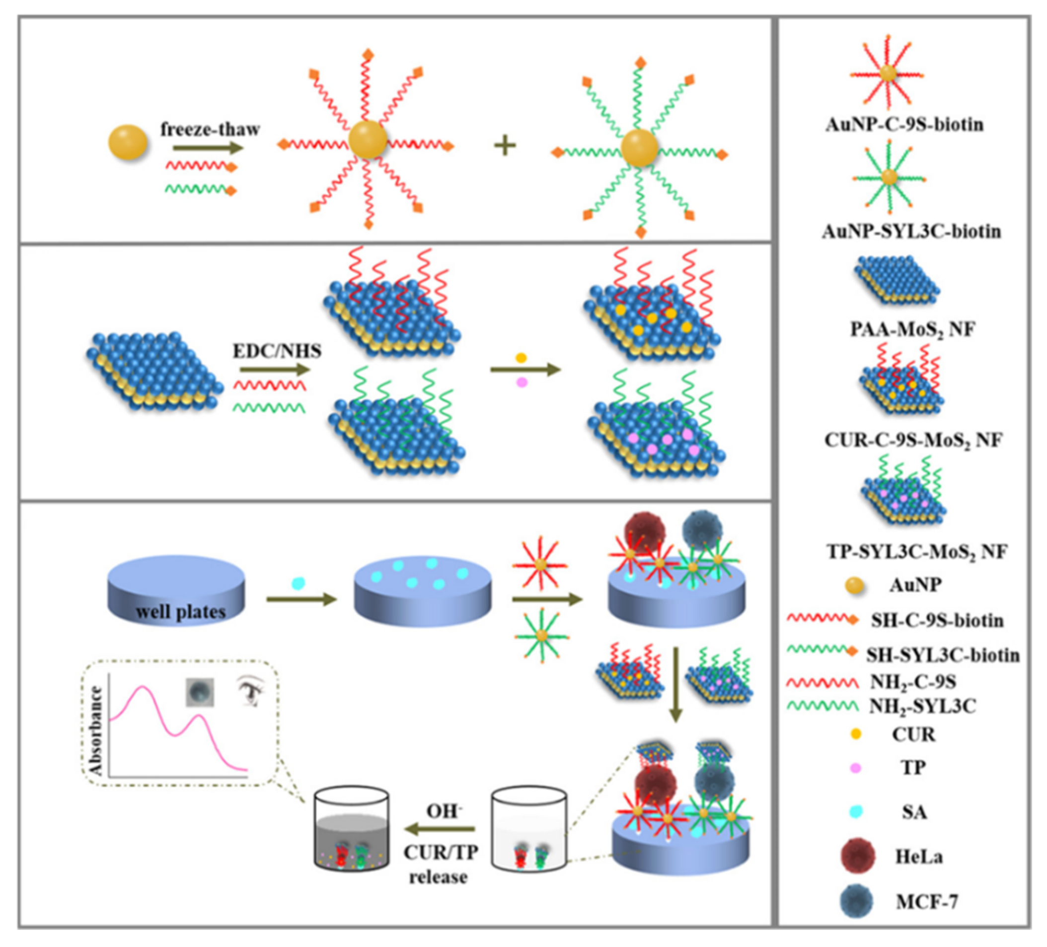 Biosensors | Free Full-Text | Recent Development of Nanomaterials-Based Cytosensors for the ...