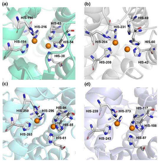 Spectrophotometric Assays for Sensing Tyrosinase Activity and Their ...