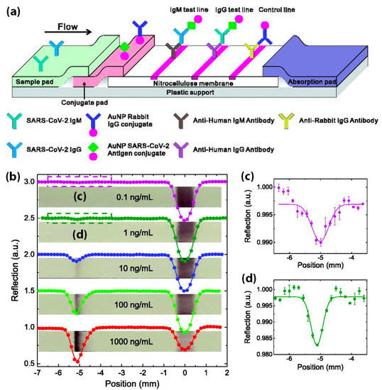 Recent Advances in Novel Lateral Flow Technologies for Detection of COVID-19