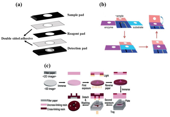 Disposable Paper-Based Biosensors for the Point-of-Care Detection of ...