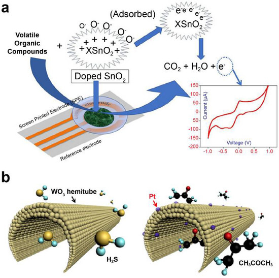Biosensors | An Open Access Journal from MDPI