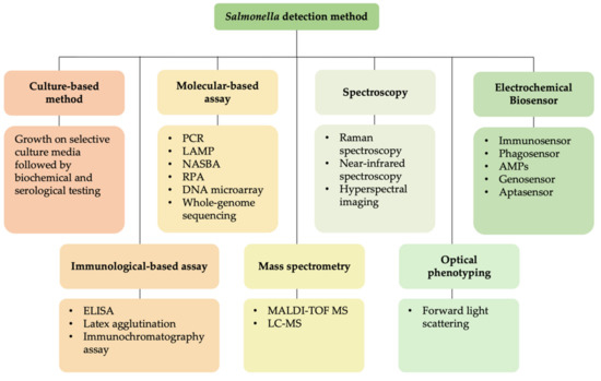 Serological Test For Salmonella