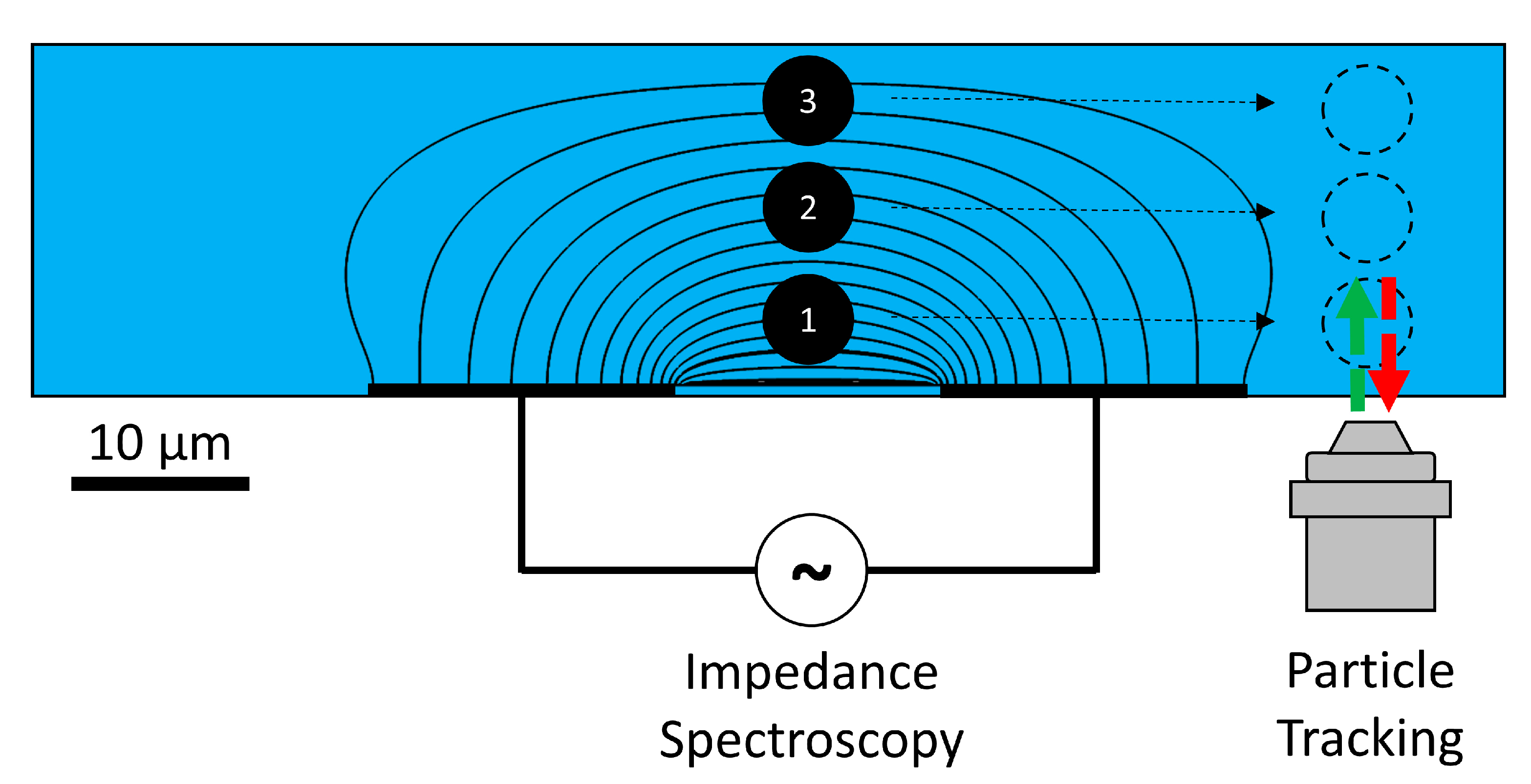 Hp dmi tool 4-0 download - lalafcherry