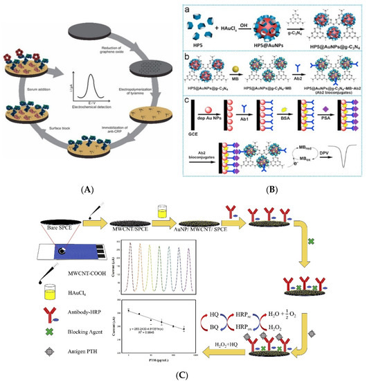 Recent Progress in Electrochemical Immunosensors