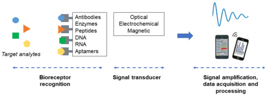Biosensors | Free Full-Text | Advances in Nanotechnology-Based ...