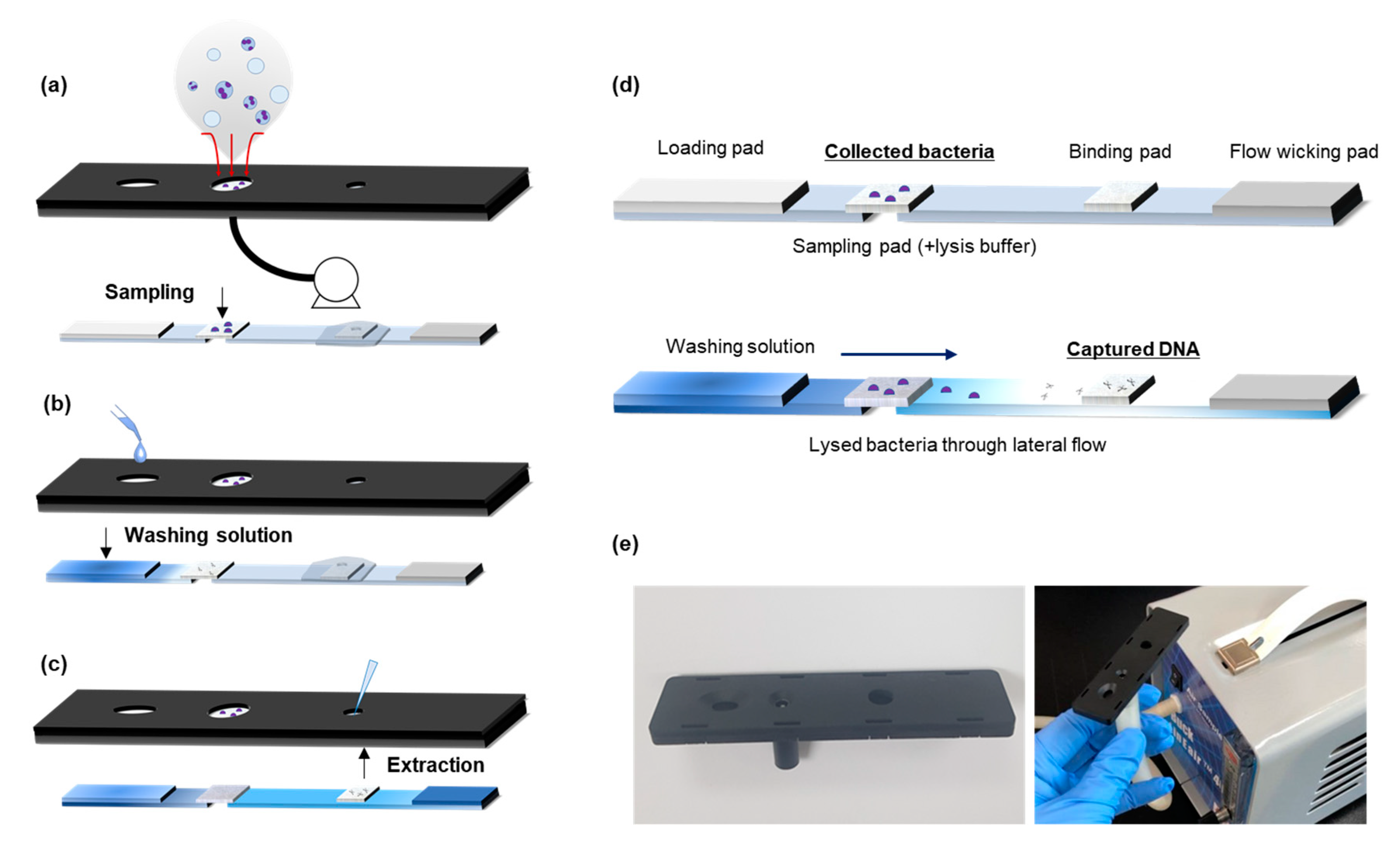 Paper Based Airborne Bacteria Collection And Dna Extraction Kit