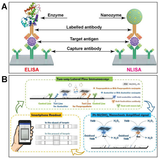Nanozyme-Participated Biosensing of Pesticides and Cholinesterases: A ...