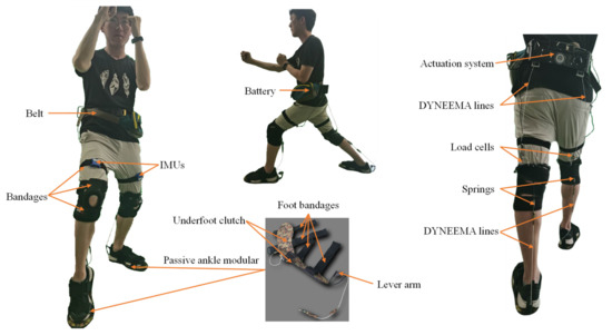 Biomechanical and Physiological Evaluation of a Multi-Joint Exoskeleton ...