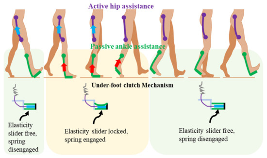 Biomechanical and Physiological Evaluation of a Multi-Joint Exoskeleton ...