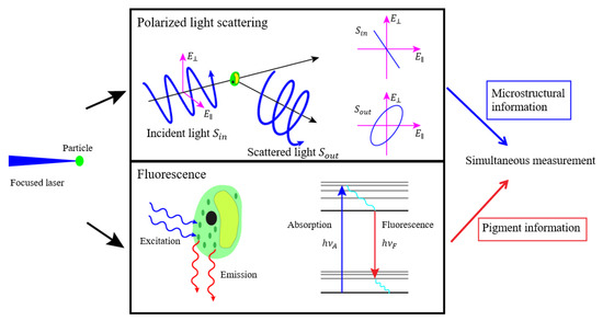 Probing Individual Particles in Aquatic Suspensions by Simultaneously ...