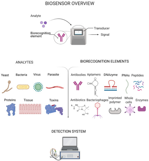 Novel Biorecognition Elements against Pathogens in the Design of State ...