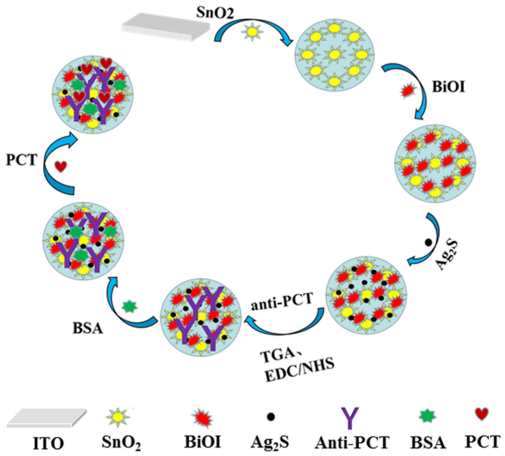 Ultrasensitive Photochemical Immunosensor Based on Flowerlike SnO2/BiOI ...